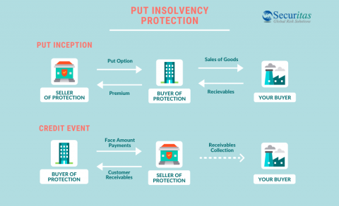 Receivable Put Options - Securitas Global Risk Solutions LLC